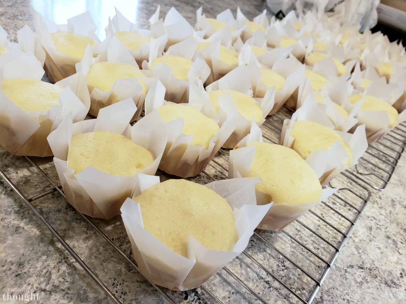 DIY Cupcake Liners - A Wonderful Thought