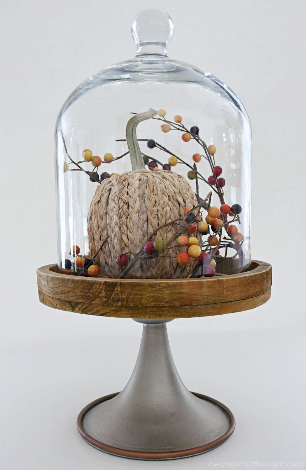 Glass Bell Cloches Decorated for Fall - A Wonderful Thought