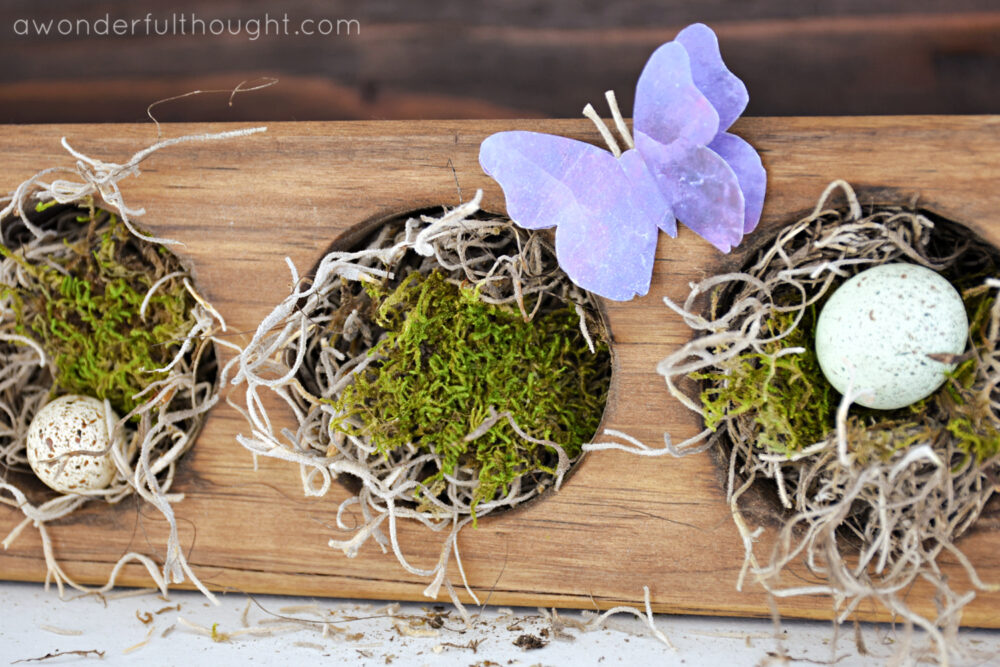 Spring Vignette with Butterflies - A Wonderful Thought