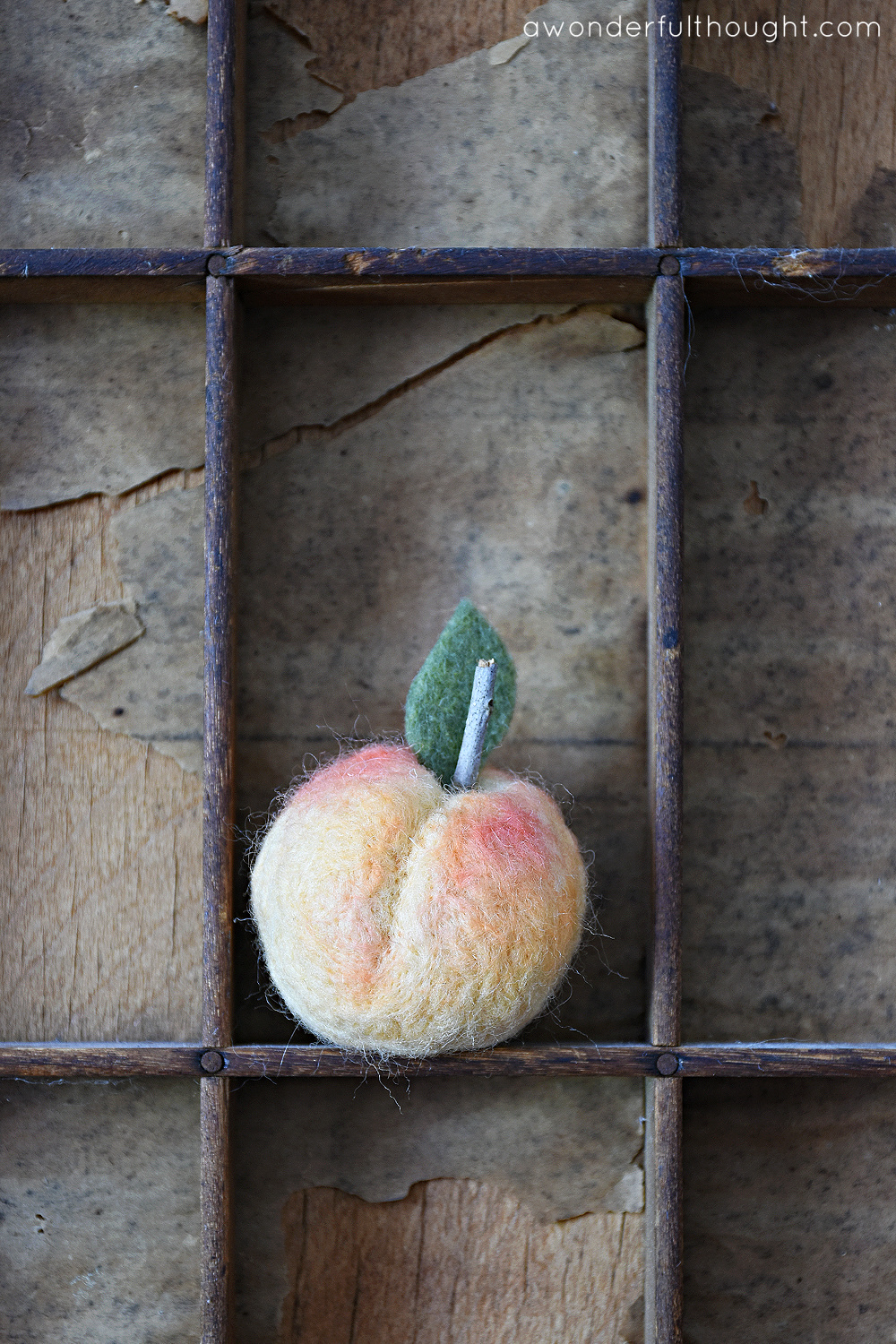 Peach Decor - A Wonderful Thought
