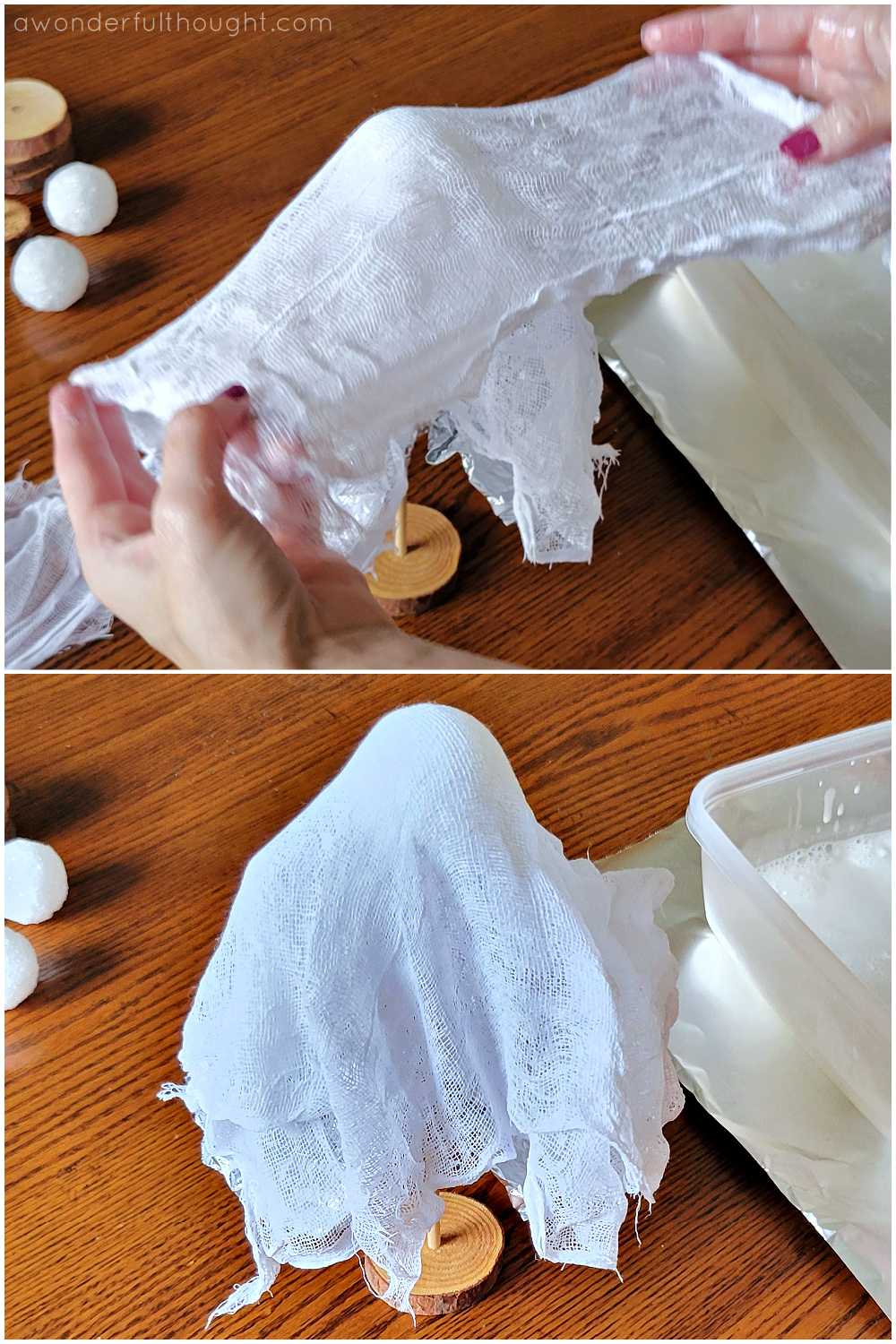 Cheesecloth Ghost - A Wonderful Thought